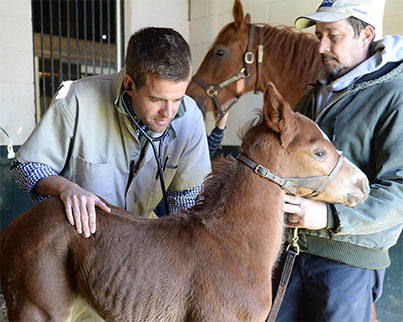 The Clay Ward Agency | Indian CreekIndian Creek